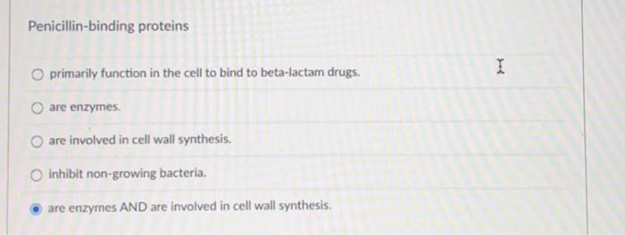 Solved Penicillin-binding proteins O primarily function in | Chegg.com