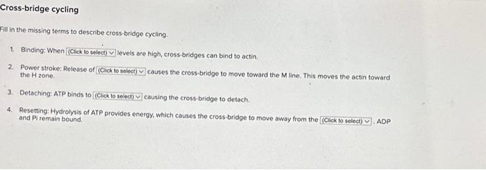 Solved Cross-bridge cycling Fill in the missing terms to | Chegg.com