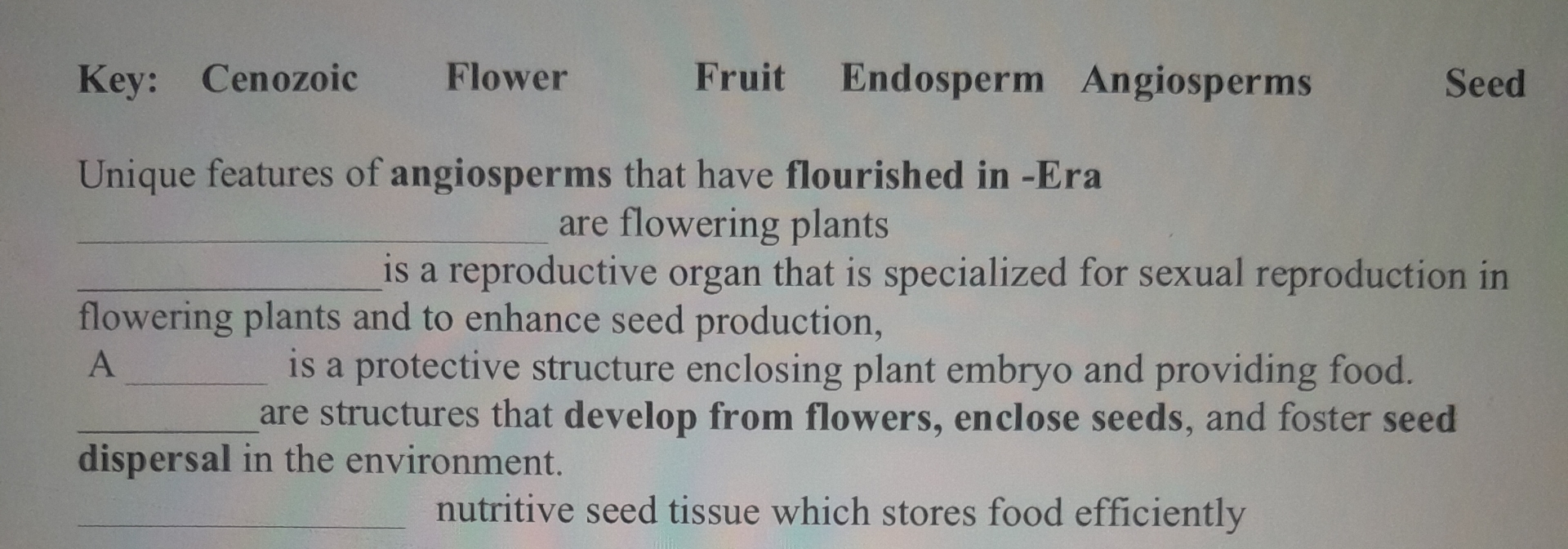 Solved Key: Cenozoic Flower Fruit Endosperm Angiosperms | Chegg.com