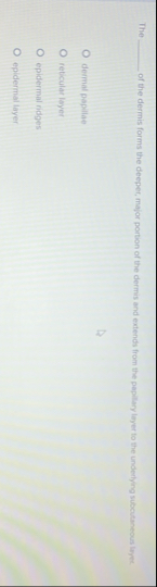 Solved The ﻿of the dermis forms the deeper, major portion | Chegg.com