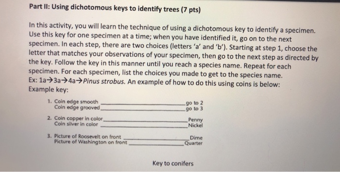 Solved Part II: Using dichotomous keys to identify trees (7 | Chegg.com