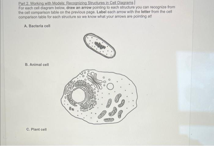 Solved Part 2. Working with Models: Recognizing Structures | Chegg.com