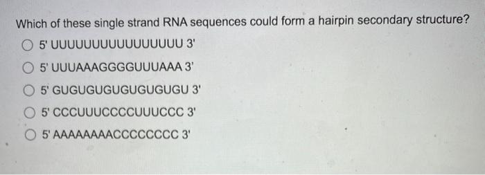 Solved Which of these single strand RNA sequences could form | Chegg.com