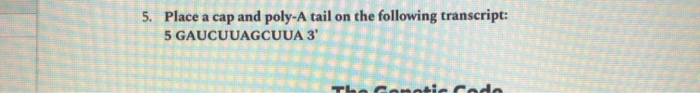 Solved 5. Place a cap and poly-A tail on the following | Chegg.com