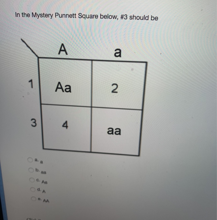 Solved In the Mystery Punnett Square below, #3 should be а | Chegg.com