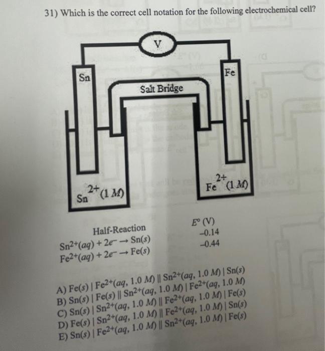 Solved 31) Which is the correct cell notation for the | Chegg.com