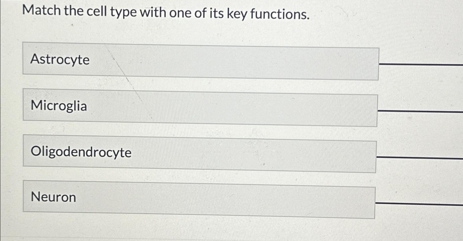 Solved Match the cell type with one of its key | Chegg.com