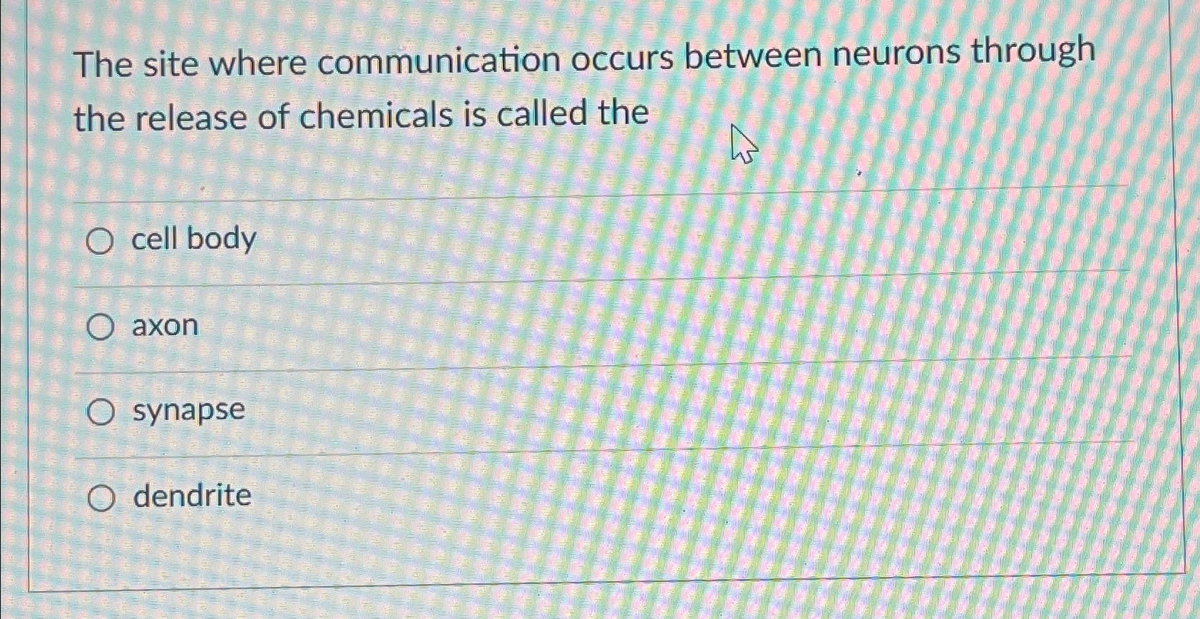 Solved The site where communication occurs between neurons | Chegg.com