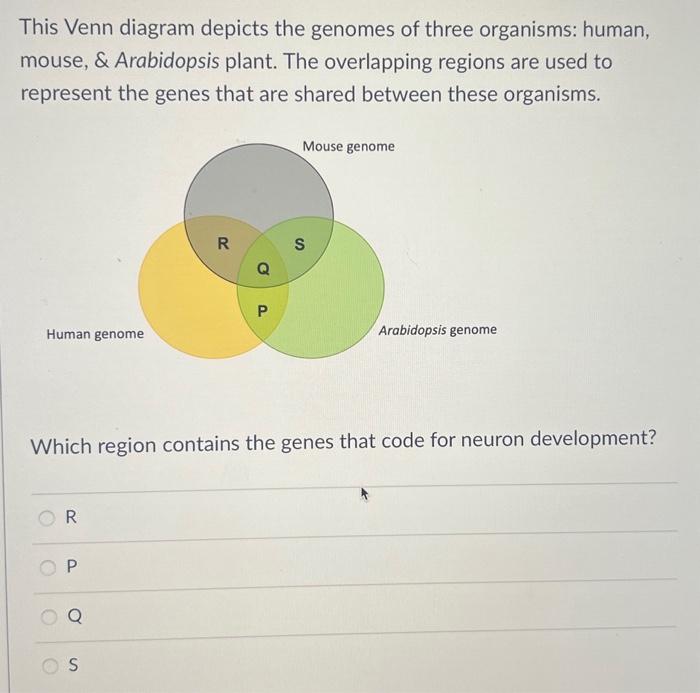 Solved This Venn diagram depicts the genomes of three | Chegg.com
