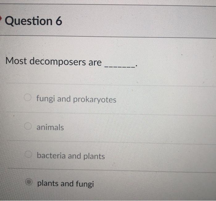 Solved Question 6 Most decomposers are fungi and prokaryotes | Chegg.com