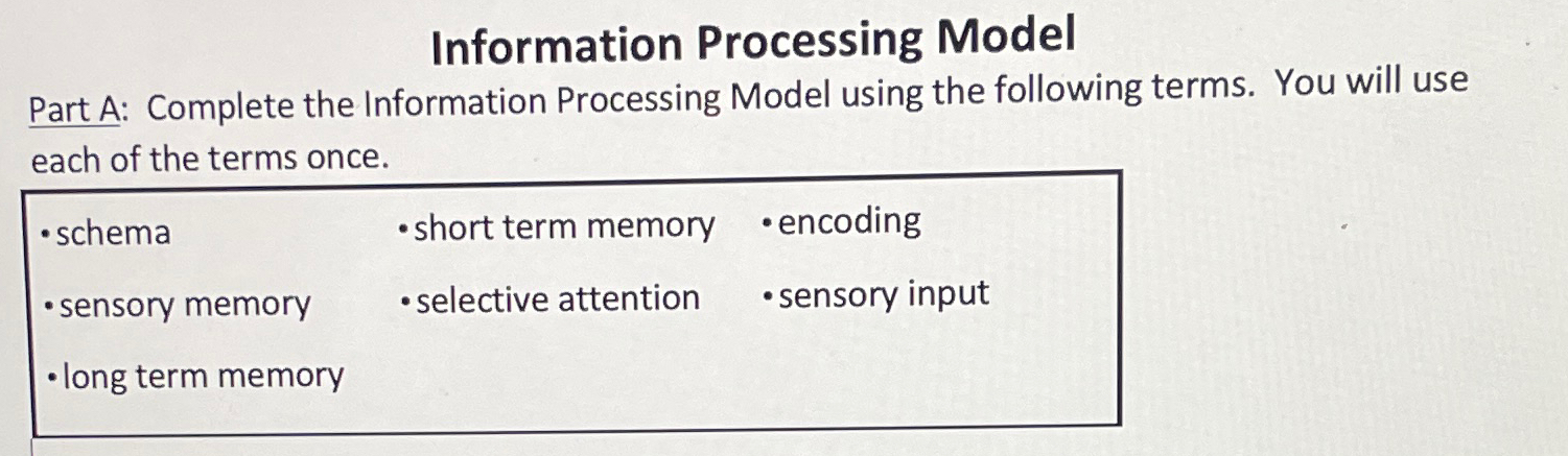 Solved Information Processing ModelPart A: Complete the | Chegg.com