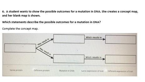 Solved 6. A student wants to show the possible outcomes for | Chegg.com