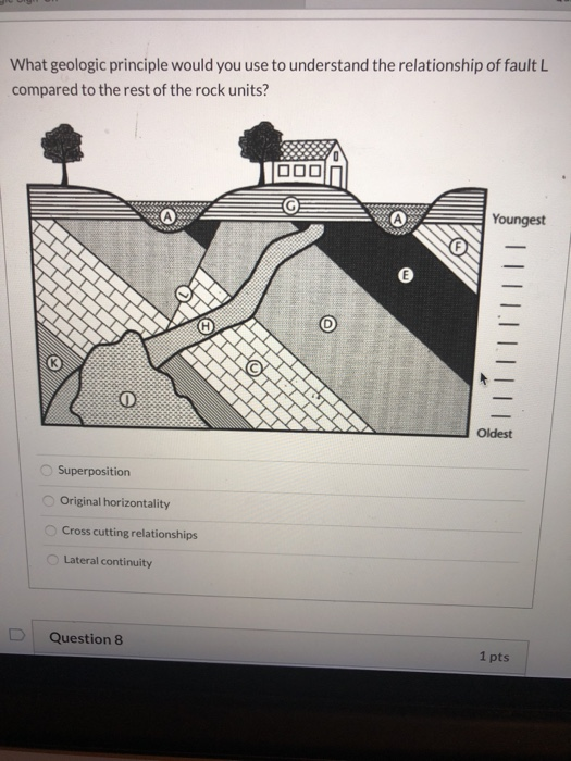 Solved What geologic principle would you use to understand | Chegg.com
