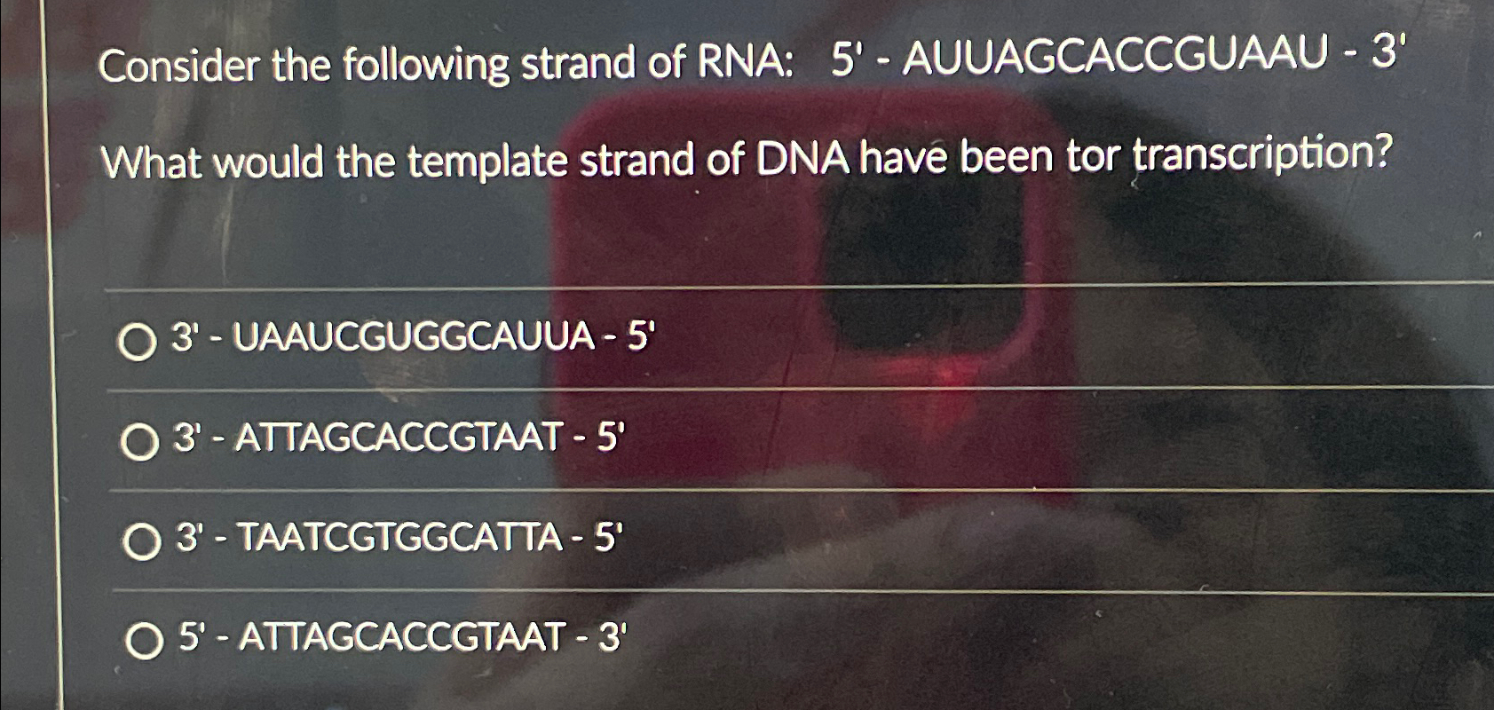 Solved Consider the following strand of RNA: 5' - | Chegg.com