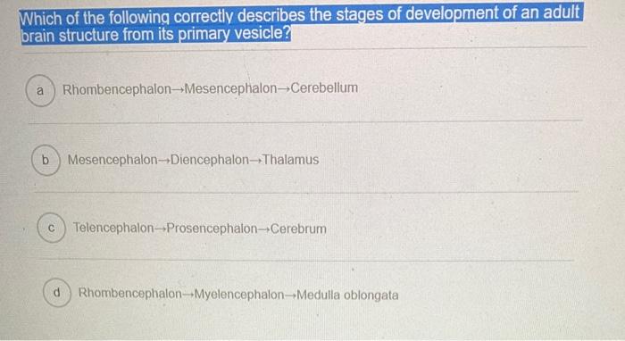 Solved Which of the following correctly describes the stages | Chegg.com