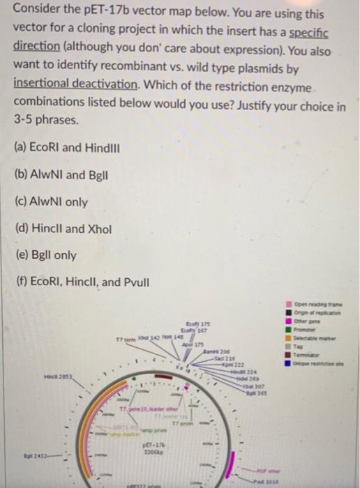 Solved Consider the pET−17 b vector map below. You are using | Chegg.com