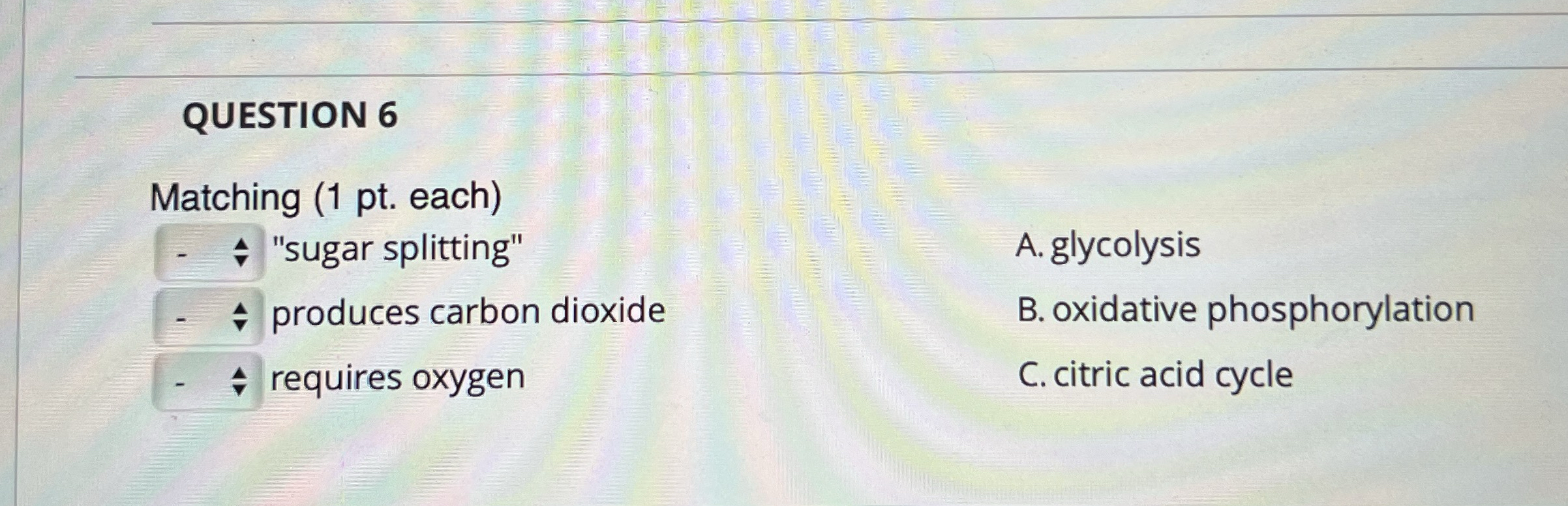 Solved QUESTION 6Matching (1 ﻿pt. ﻿each)"sugar splitting"A. | Chegg.com