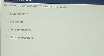 Solved The refiex arc contains what? Select all that | Chegg.com