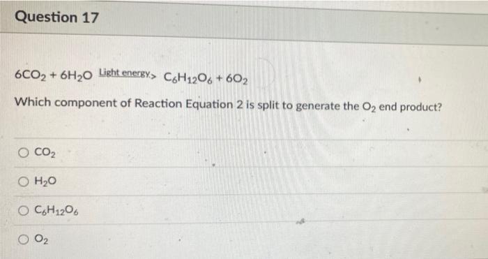 Solved Question 17 6CO2 + 6H20 Light energy> CoH12O6 + 602 | Chegg.com