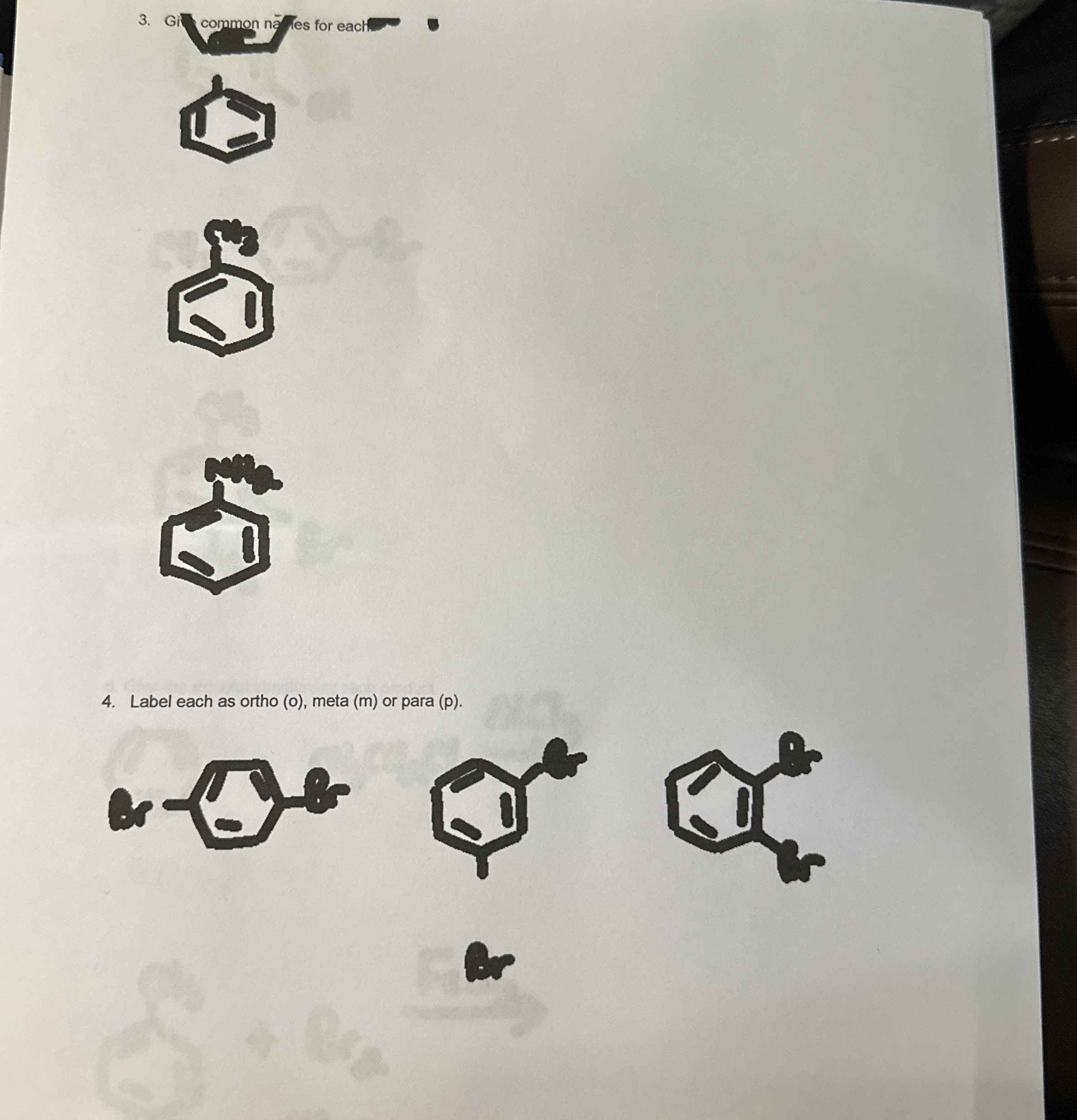 3. ﻿Give common names for each4. ﻿Label each as ortho | Chegg.com