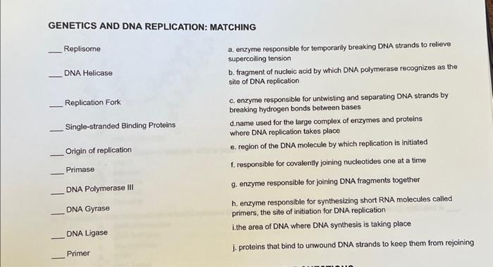 Solved GENETICS AND DNA REPLICATION: MATCHING Replisome DNA | Chegg.com