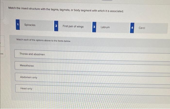 Solved Match the Insect structure with the tagma, tagmata, | Chegg.com