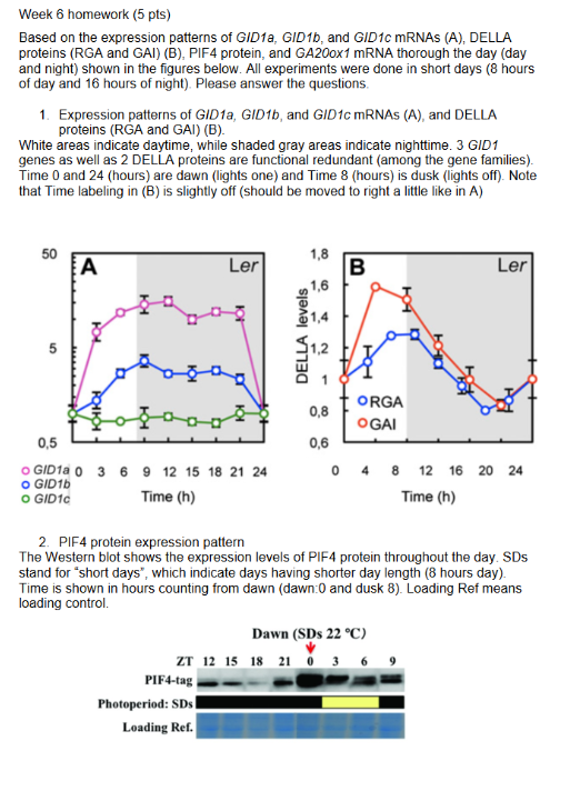 Solved Questions:1. ﻿Based on the expression profiles | Chegg.com