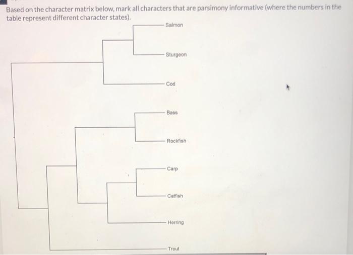 Solved Based on the character matrix below, mark all | Chegg.com