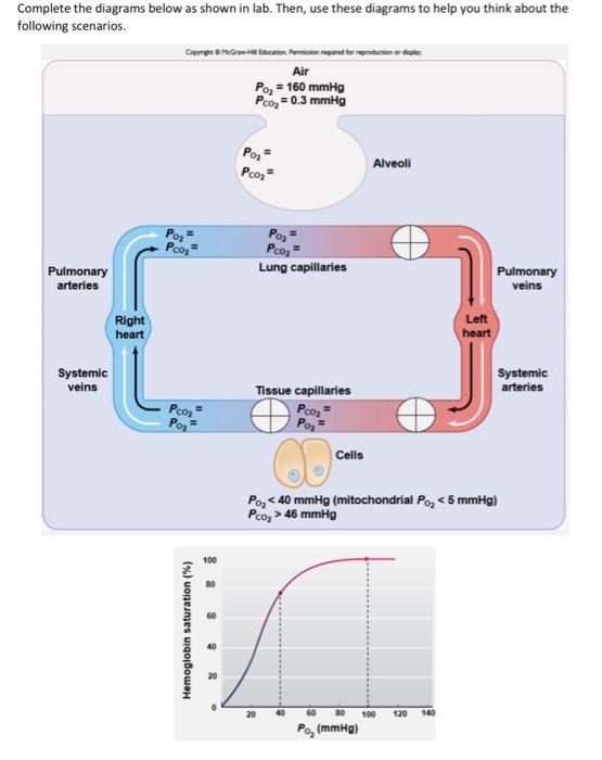 Solved Complete the diagrams below as shown in lab. Then, | Chegg.com