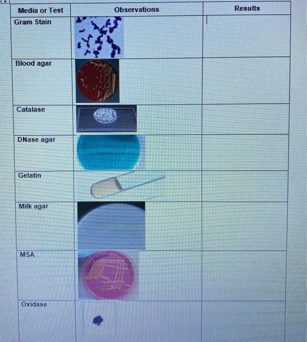 Solved Need help interpreting what the unknown is compared | Chegg.com