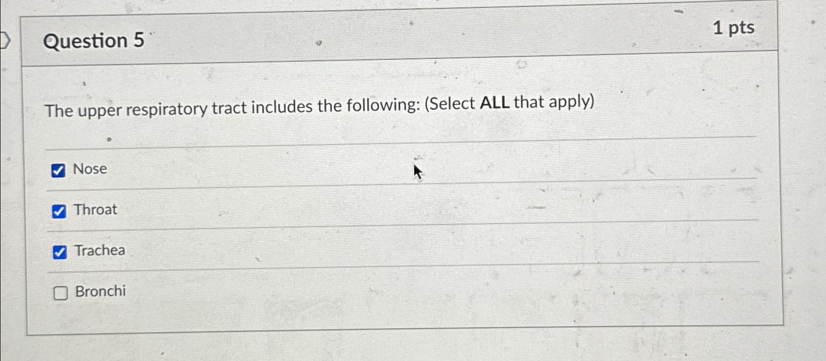 Solved Question 51 ptsThe upper respiratory tract includes | Chegg.com Solved Question 51 ptsThe upper respiratory tract includes | Chegg.com