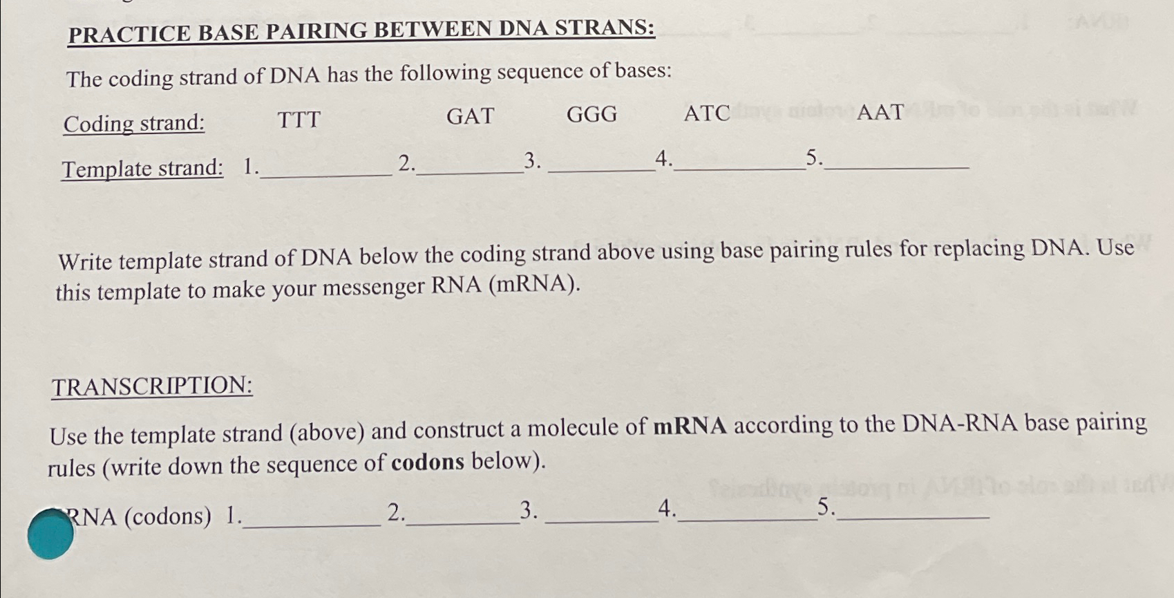 PRACTICE BASE PAIRING BETWEEN DNA STRANS:The coding | Chegg.com