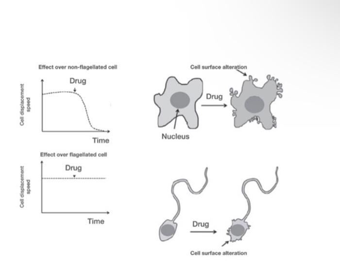 8) Colchicine is a substance of plant origin, widely | Chegg.com