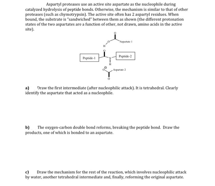 Solved Aspartyl proteases use an active site aspartate as | Chegg.com