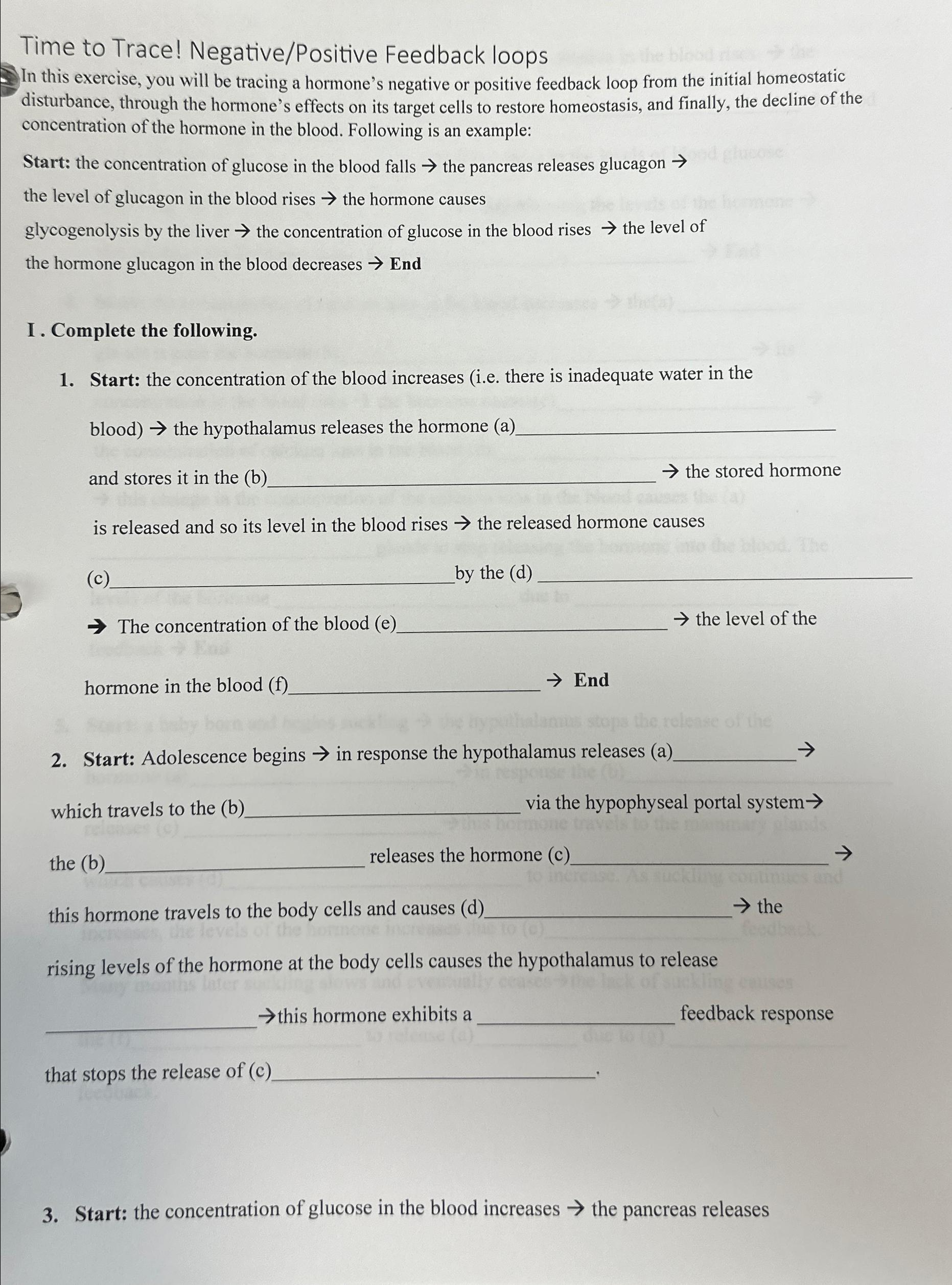 Solved Time to Trace! Negative/Positive Feedback loopsIn | Chegg.com