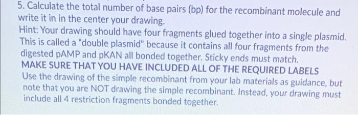 Solved Draw the "double plasmid" PAMP/PKAN, take a photo or | Chegg.com