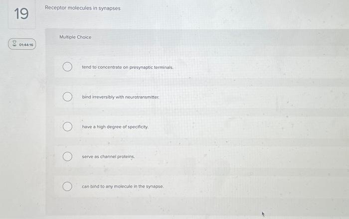 Solved Receptor molecules in synapses Multiple Choice tend | Chegg.com