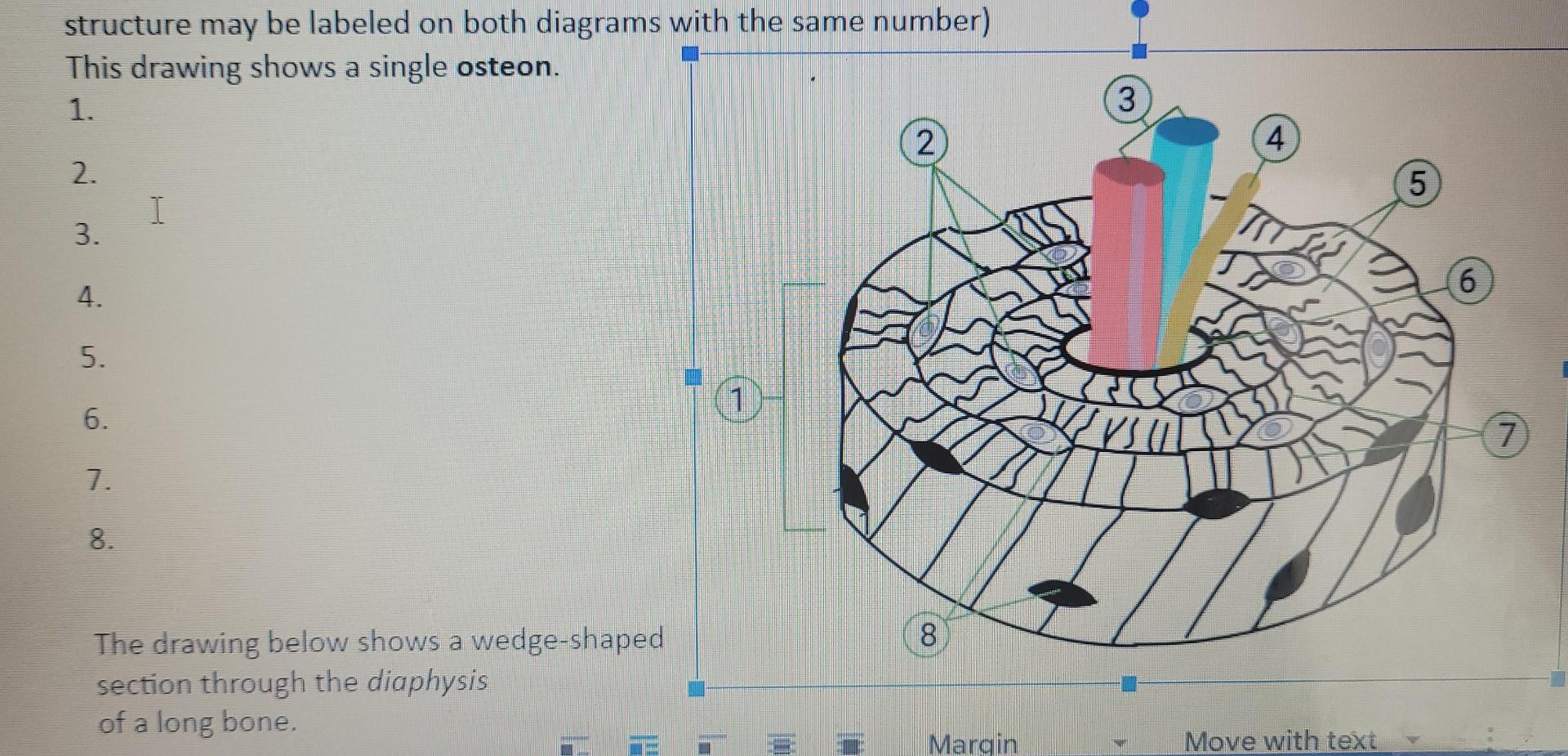 [Solved]: structure may be labeled on both diagram