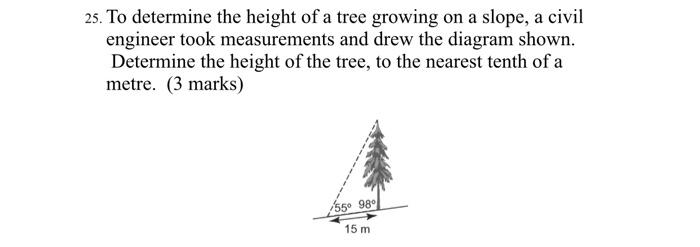 Solved 25. To determine the height of a tree growing on a | Chegg.com