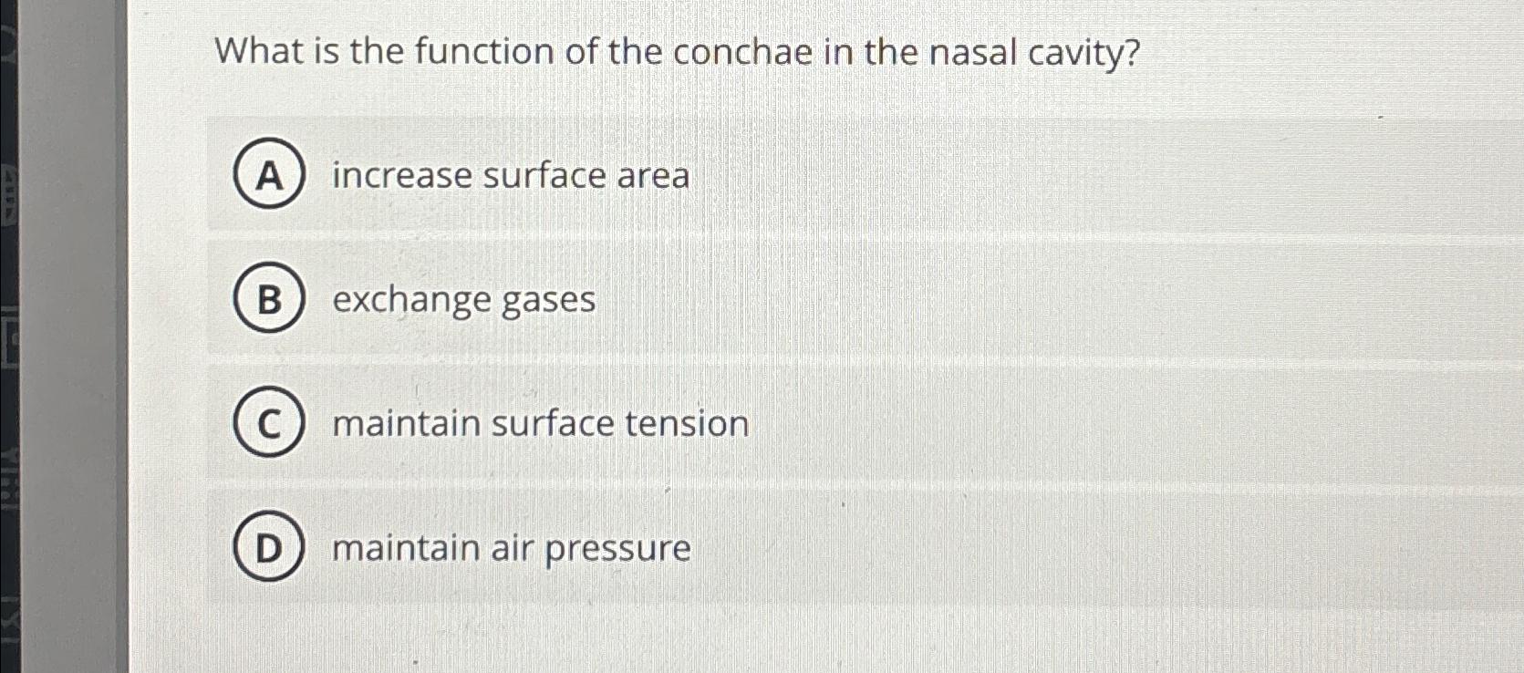 Solved What is the function of the conchae in the nasal | Chegg.com