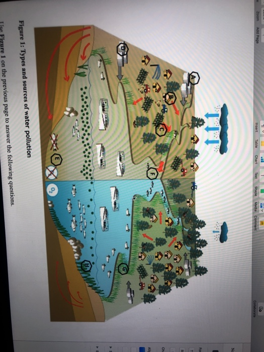 Solved Zoom Mod Page Insert Table Chart Text Shape Media | Chegg.com
