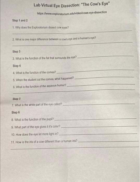 Solved Human Ear Label the parts of the ear a List the | Chegg.com