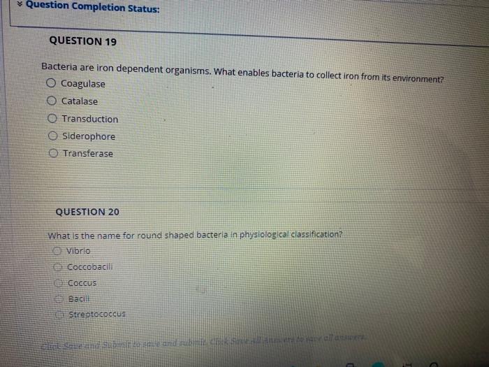 Solved Question Completion Status: QUESTION 19 Bacteria are | Chegg.com