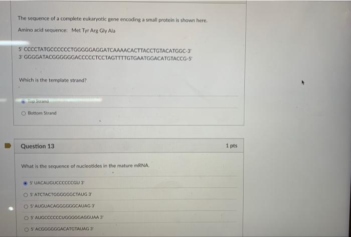 Solved The sequence of a complete eukaryotic gene encoding a | Chegg.com