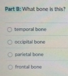 Solved Part B: What bone is this?temporal boneoccipital | Chegg.com
