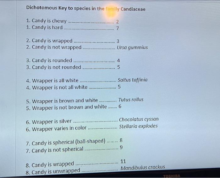 Solved Dichotomous Key to species in the family Candiaceae | Chegg.com