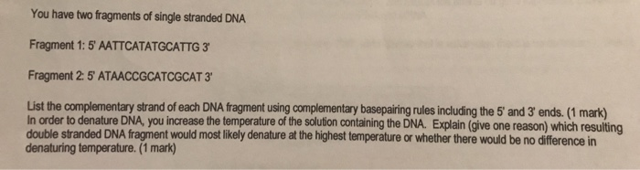 Solved You have two fragments of single stranded DNA | Chegg.com