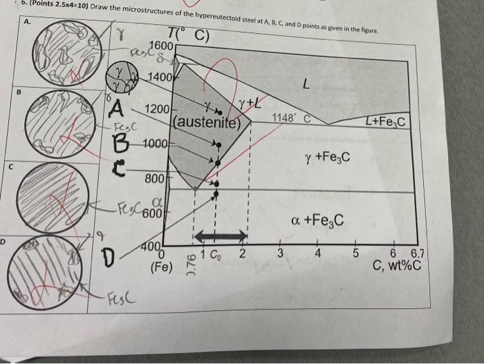 Solved 6. (Points 2.5×4=10) Draw the microstructures of the | Chegg.com