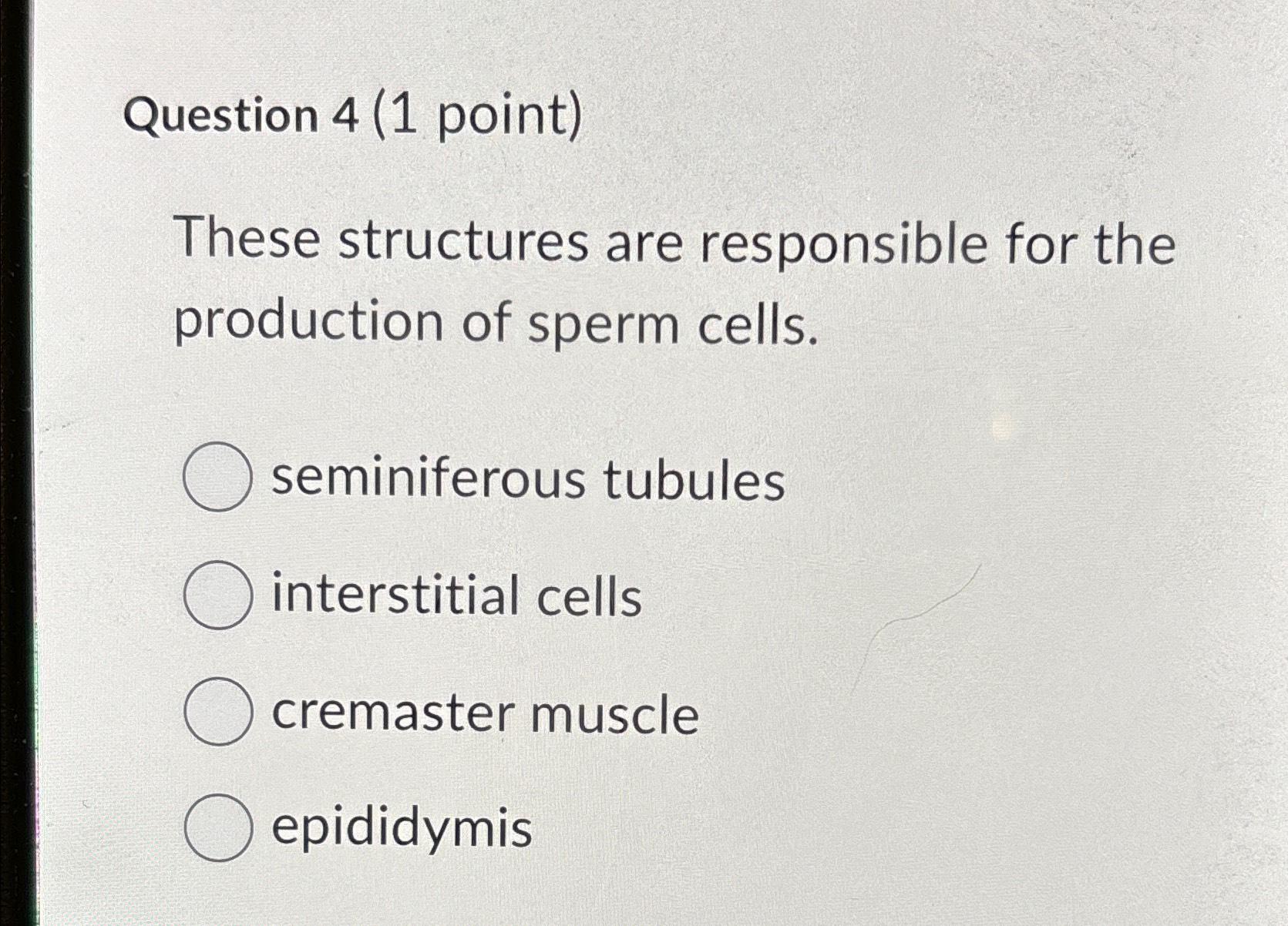 Solved Question 4 (1 ﻿point)These structures are responsible | Chegg.com