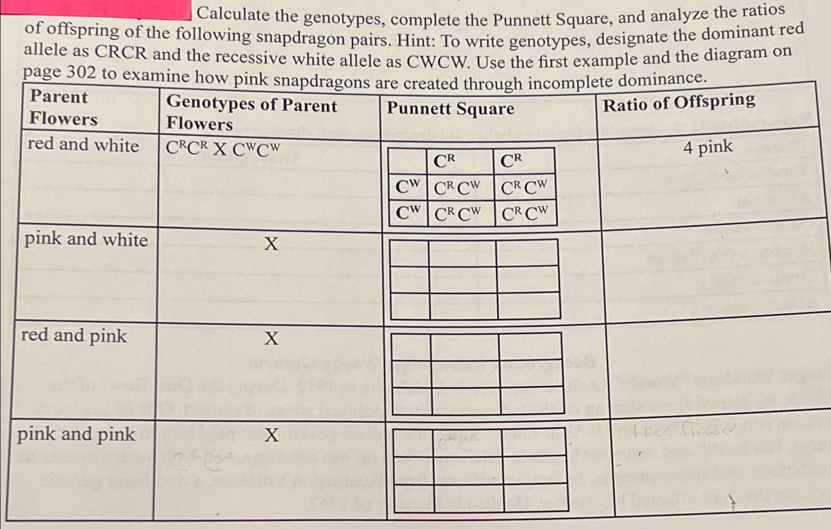 Solved Calculate the genotypes, complete the Punnett Square, | Chegg.com